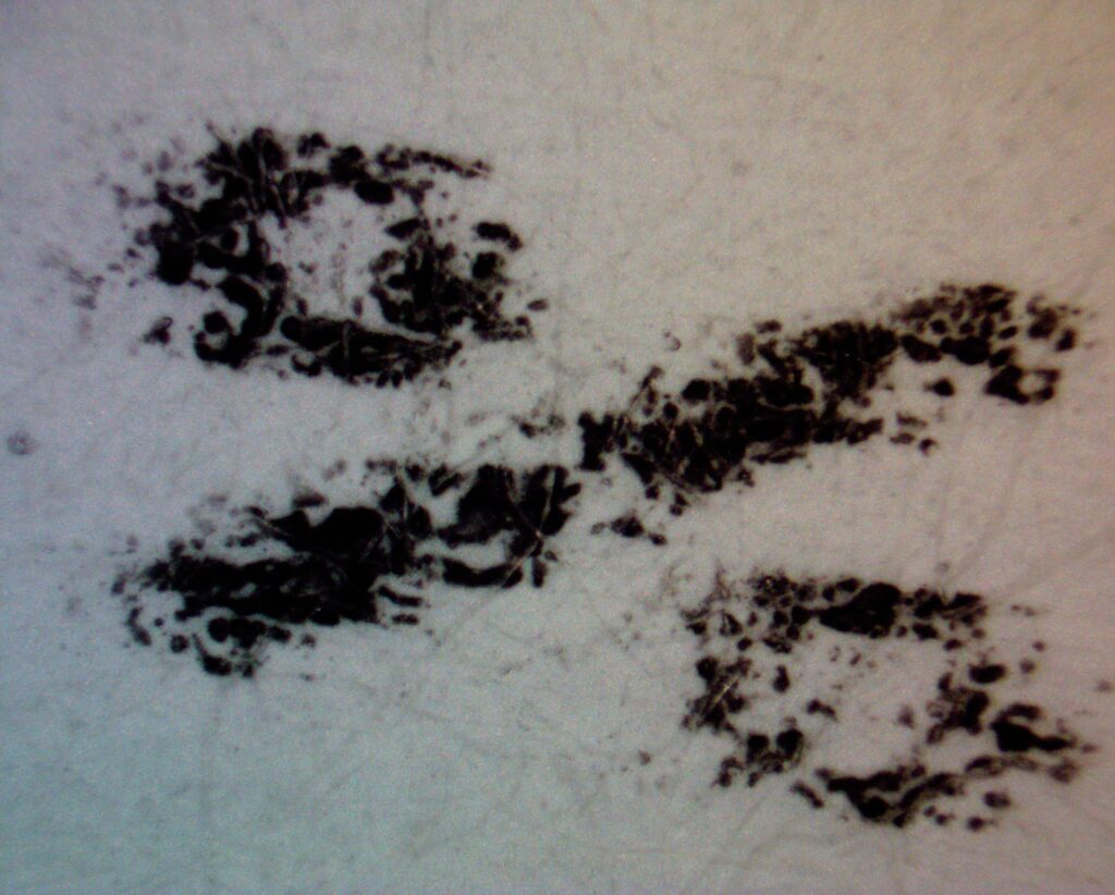 Paper – Under Microscope